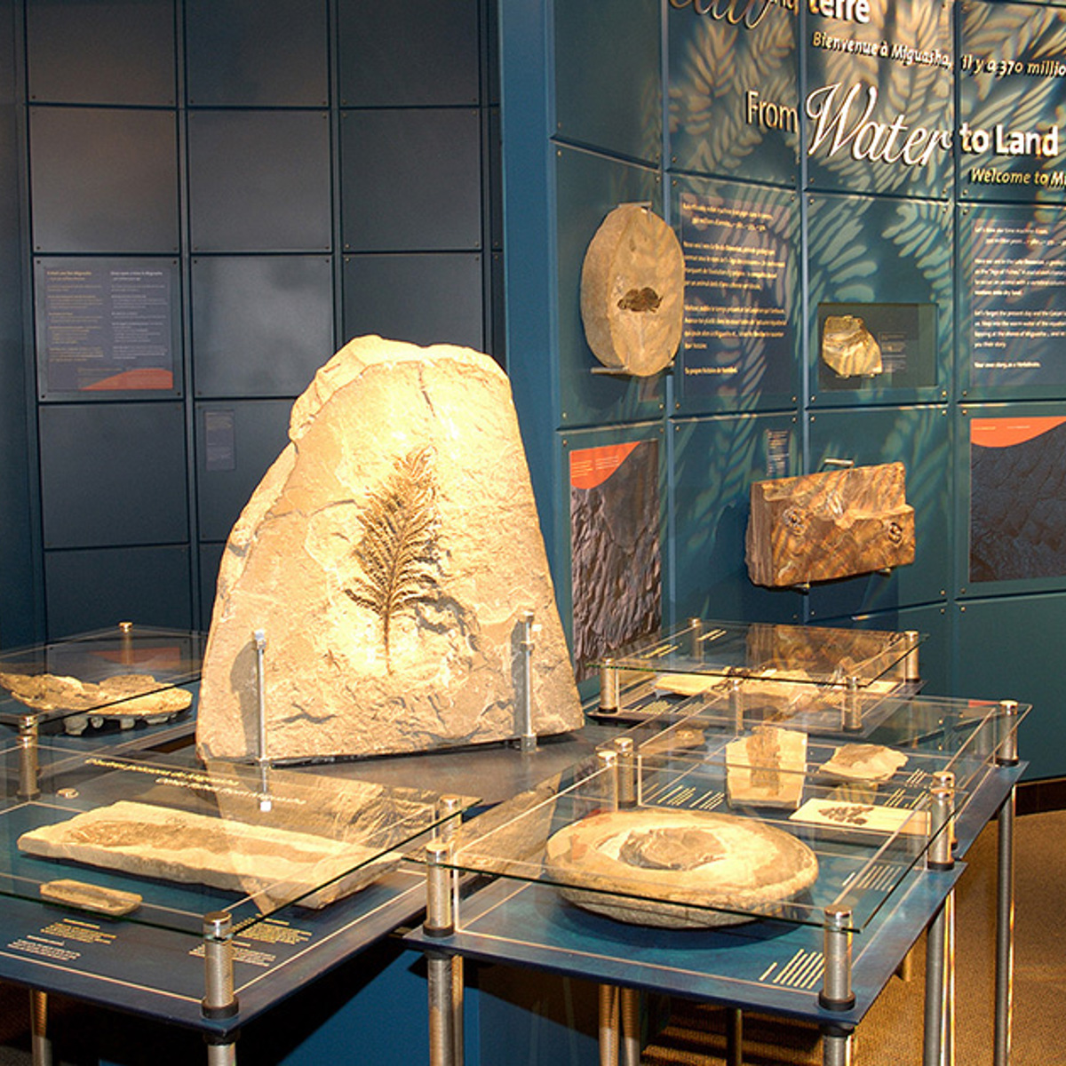 5 lieux pour découvrir la géologie de la Gaspésie