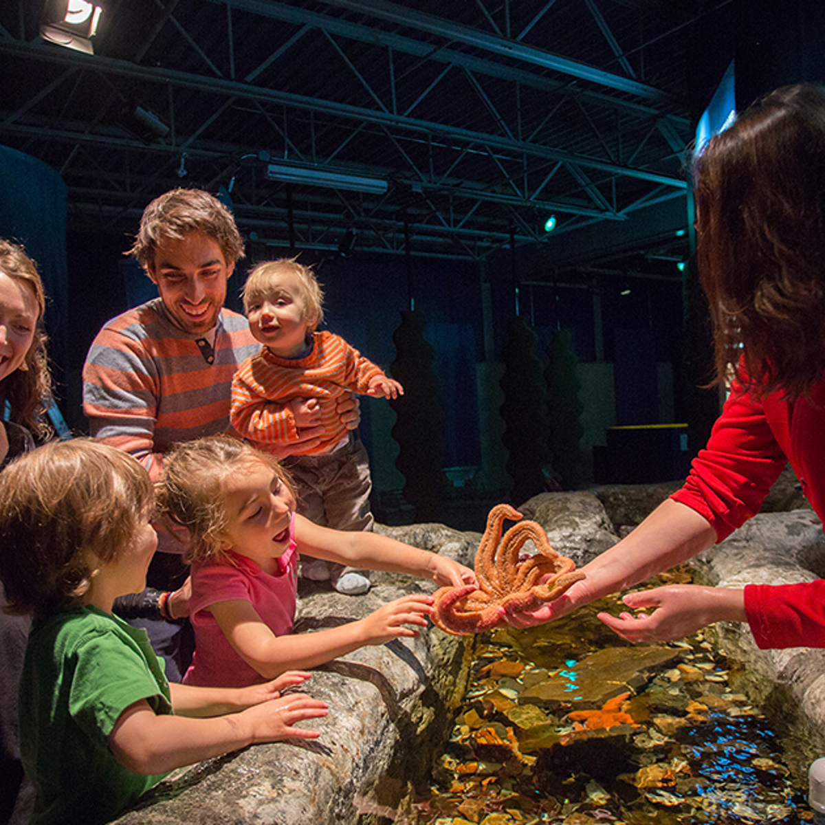 Culture et histoire vivante de la Gaspésie
