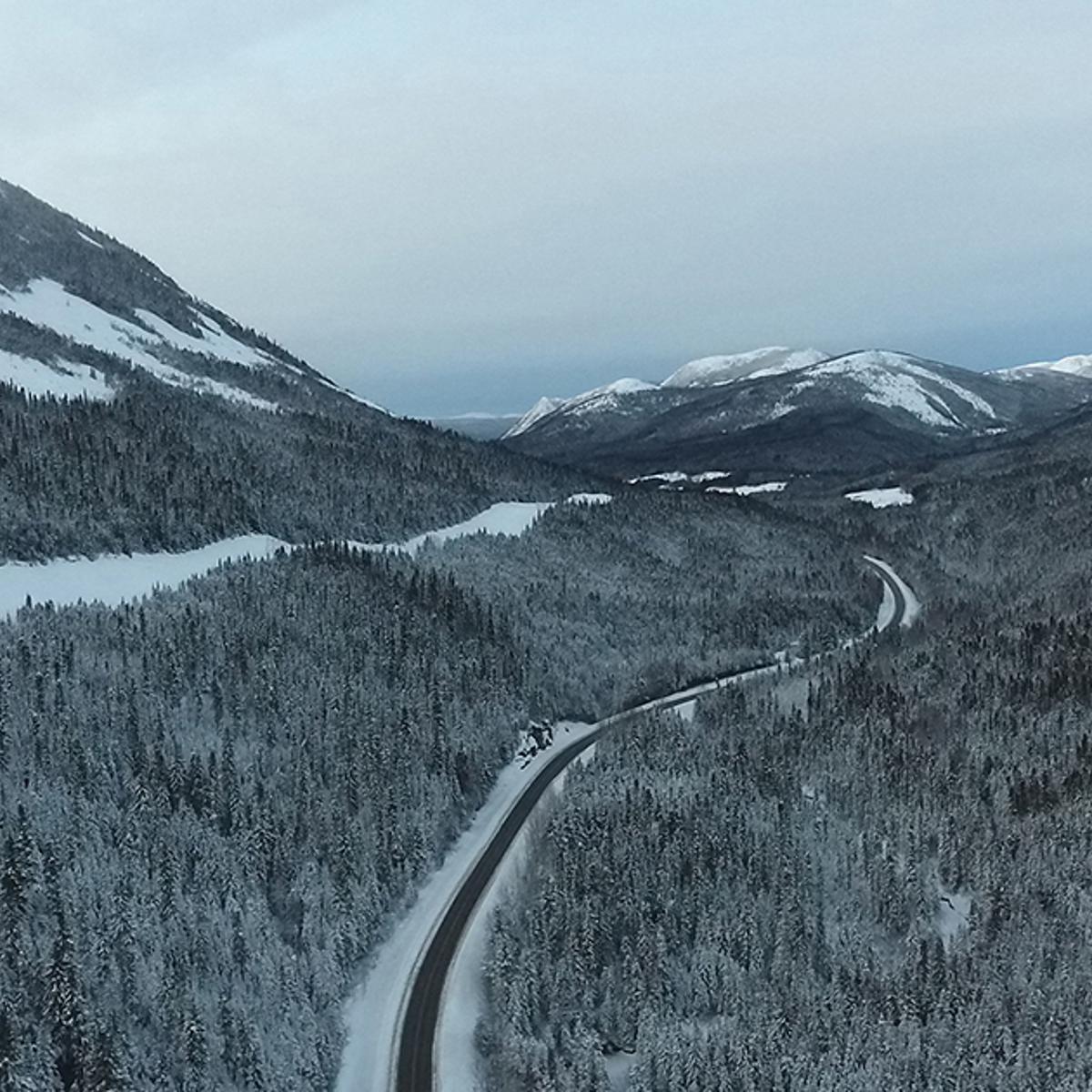 Simply Extraordinary.