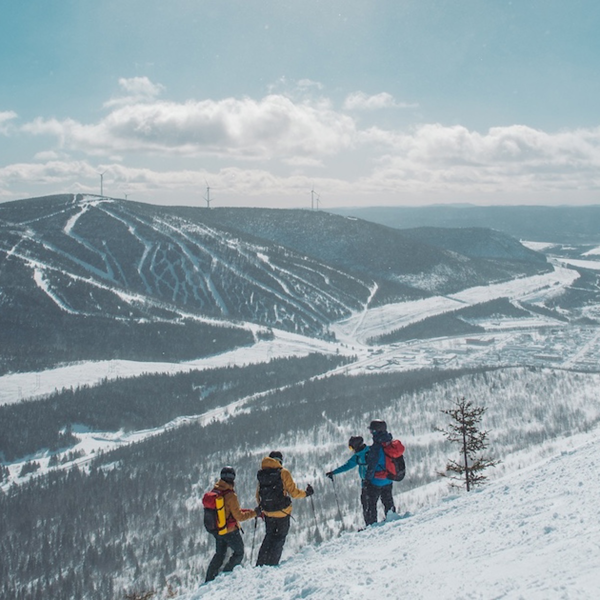 What to Do in Gaspésie in January